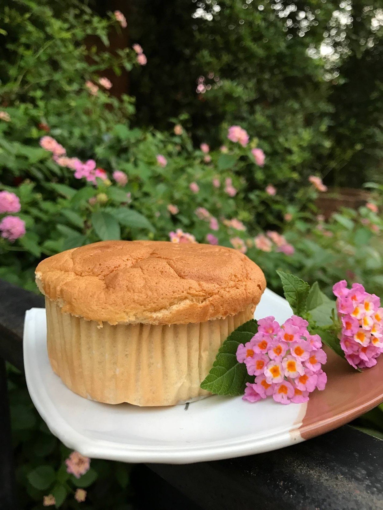 15 คาเฟ่อ่างศิลาฟีลดี ชวนนั่งเพลินดีต่อใจ ถ่ายรูปก็ได้ จิบกาแฟก็ฟิน!