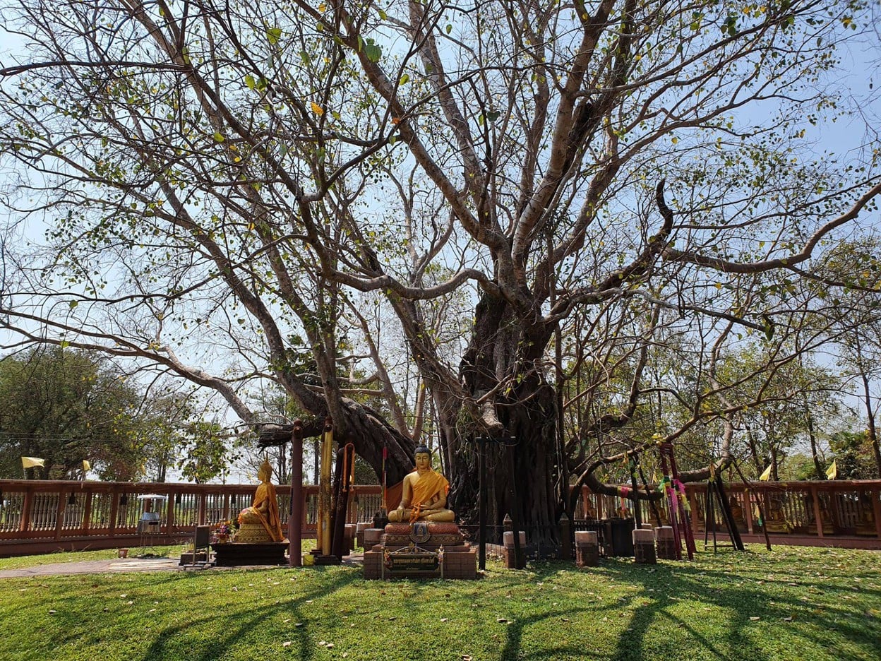 20 ที่เที่ยวปราจีนบุรี เต็มอิ่มธรรมชาติสุดสำราญ โบราณสถานเต็มเมือง
