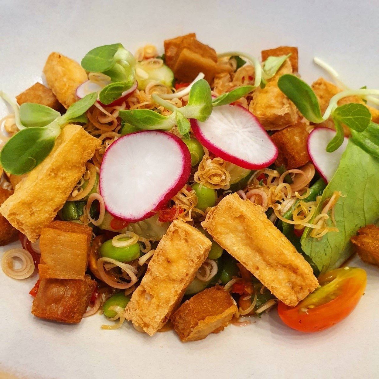 รวม Salad Factory 10 สาขา เต็มอิ่มกับโรงงานผัก เพื่อคนรักสุขภาพ!