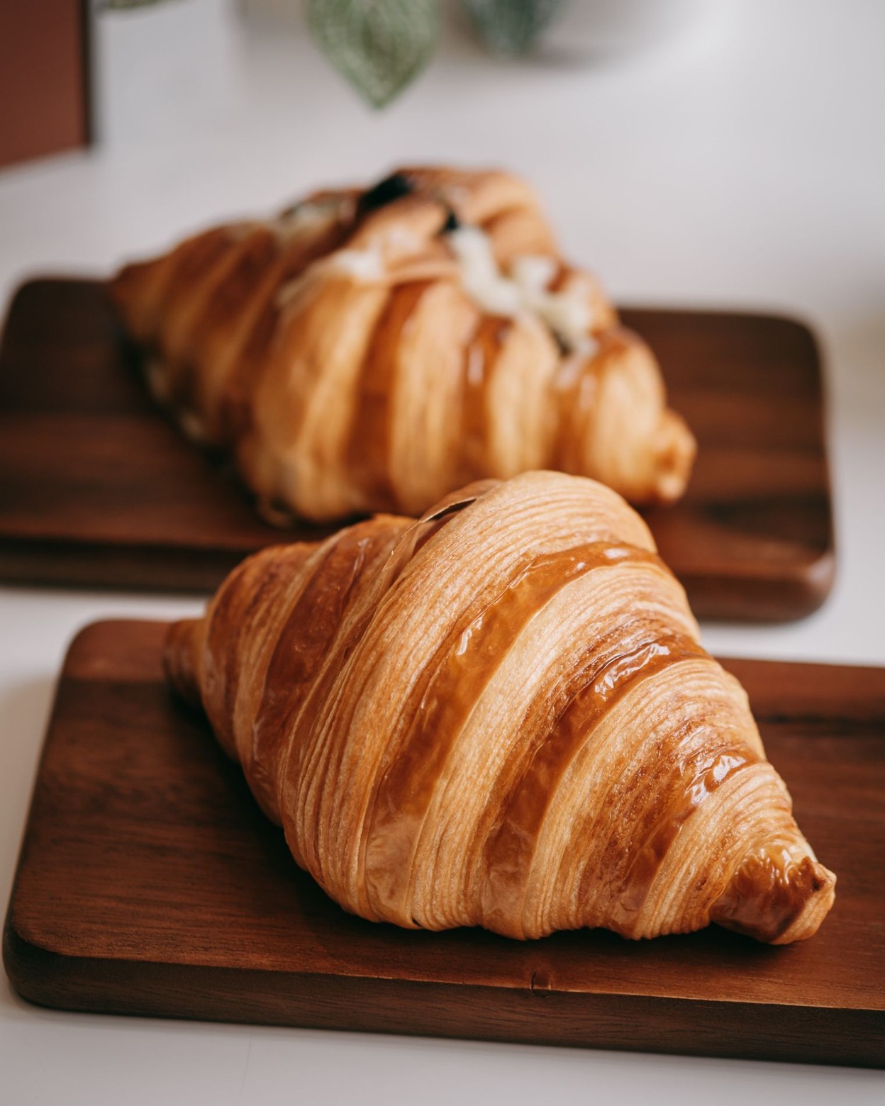 25 ร้านกาแฟในสวนสวย ปี 2021 สุดเขียวขจีรอบกรุงฯ ที่ต้องมา!