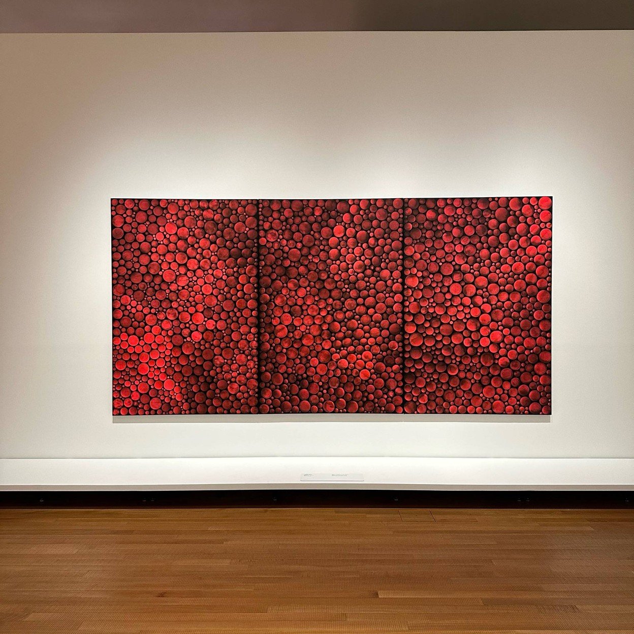 20 ที่เที่ยวฮ่องกง 2024 แวะเพลินหลากสถานที่น่าสนใจ จบครบทุกสไตล์!