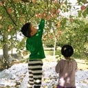 [รีวิว] ร้าน CHUQ TEA สุรวงศ์ | เมนูแนะนำ รูปภาพ ราคา