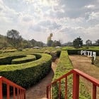 Pete Maze (พิชญ์ เขาวงกต) - รีวิวสถานที่ท่องเที่ยว