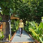 ร้าน U Forests cafe ระยอง | รีวิวร้านอาหาร