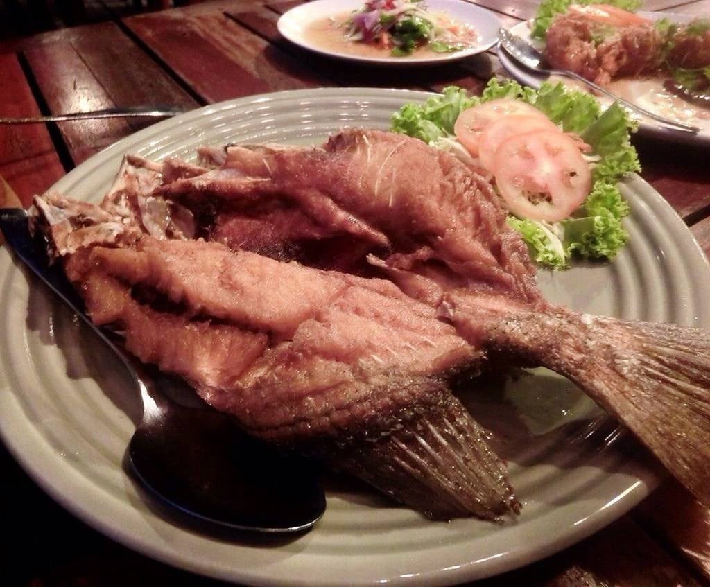 ร้าน ครัวนาเกลือ | รีวิวร้านอาหาร