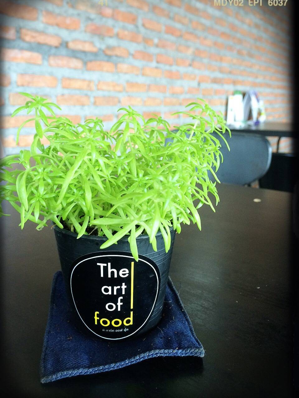 รูป The art of food ดิอาร์ตออฟฟู้ด The art of food สาขาแบริ่ง