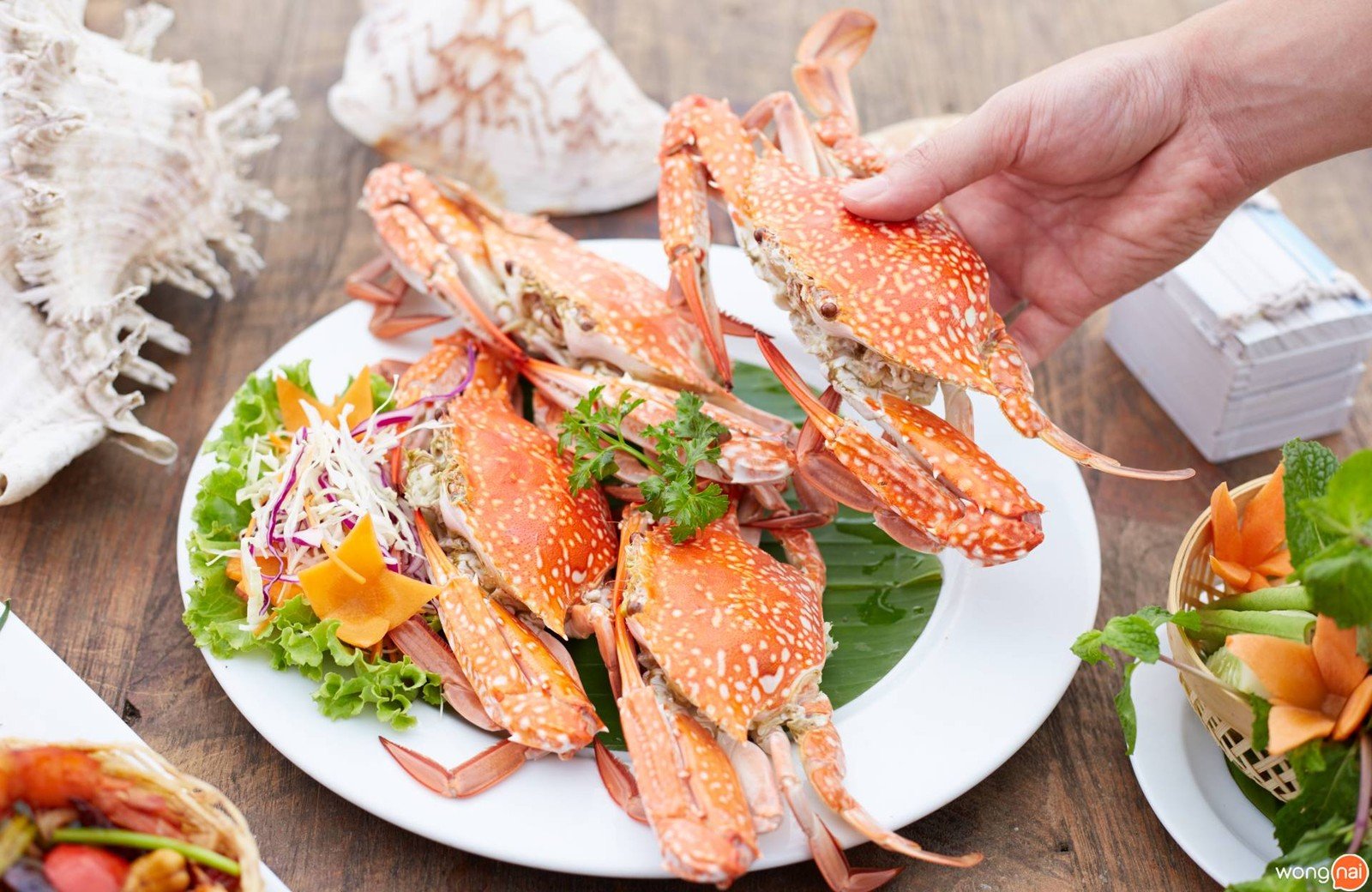 รูป View Mare Beach Front Bar And Restaurant - Wongnai