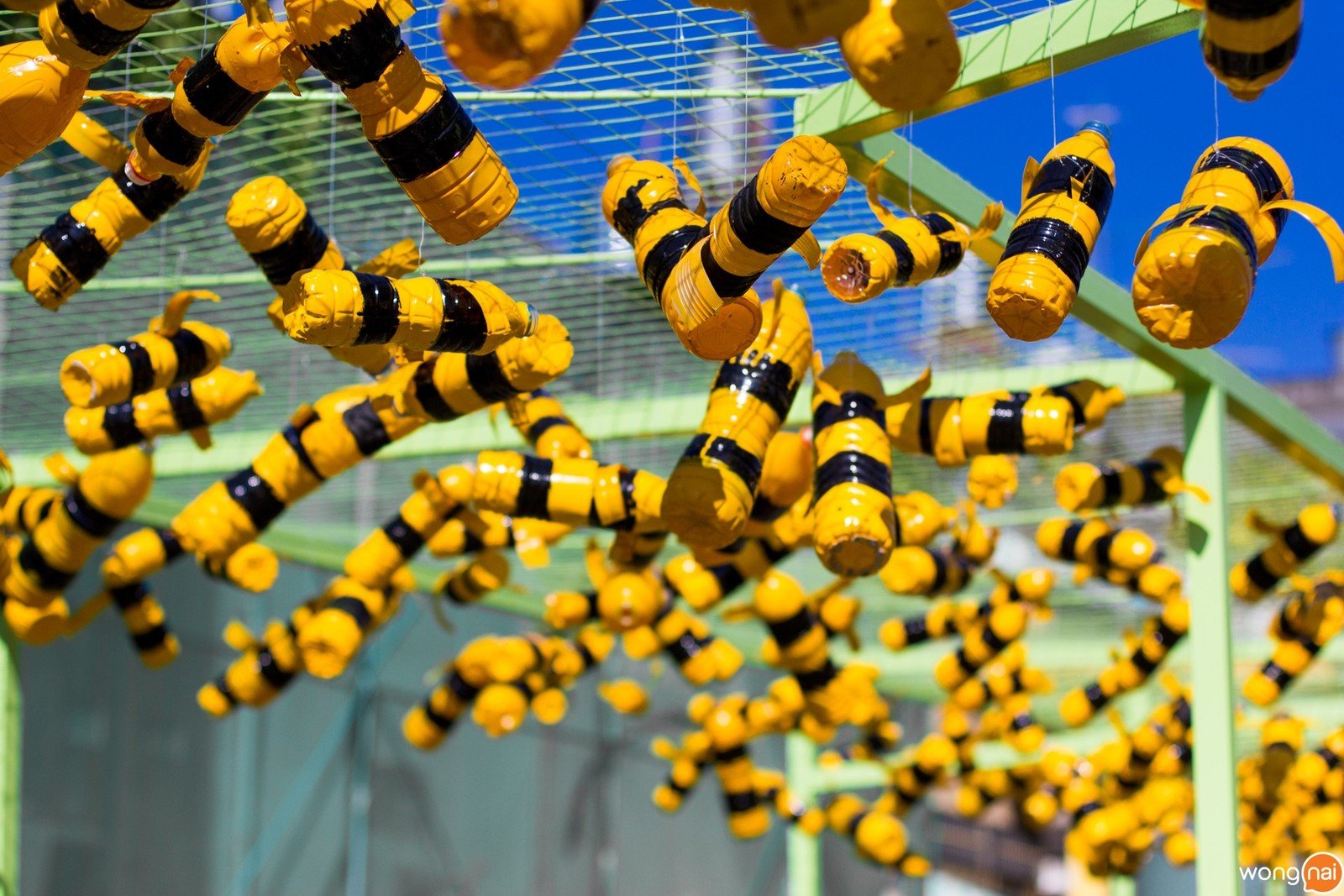 เที่ยวสวนผึ้งหาดใหญ่ Big Bee Garden ชมธรรมชาติกลางใจเมือง เข้าชมฟรี!