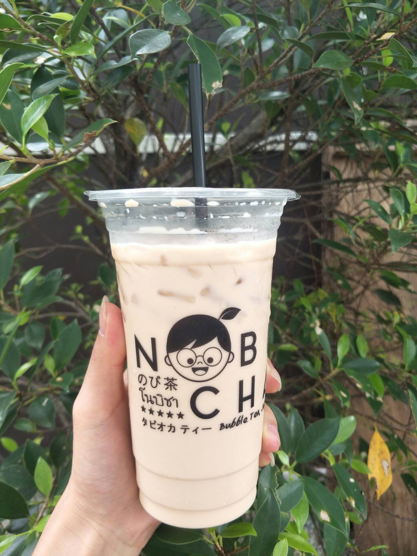 ชานม • แก้วละ 19.- บาท ร้าน Nobicha ซีคอน สแควร์
