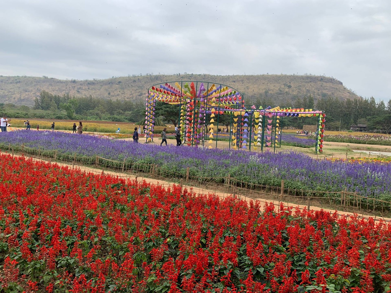 รูป Jim Thompson Farm