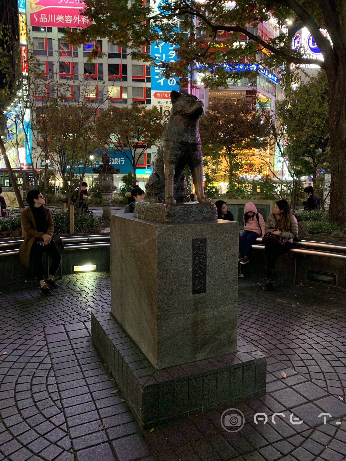 Hachiko Memorial Statue - รีวิวสถานที่ท่องเที่ยว - Wongnai