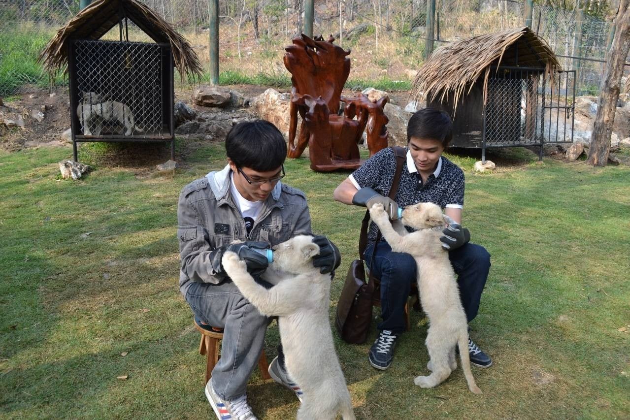 Bonanza Exotic Zoo (สวนสัตว์โบนันซ่าเอ็กโซติกซู เขาใหญ่) - รีวิวสถานที่ ...