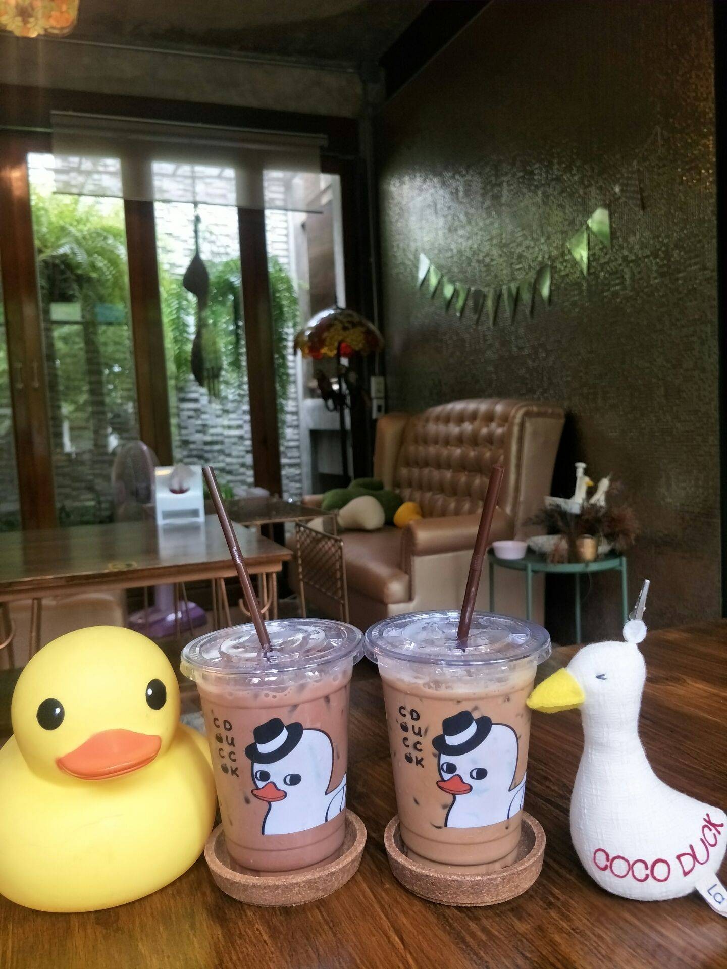 โกโก้เย็น • เป็ดก้าบๆๆ ร้าน Coco Duck Cafe