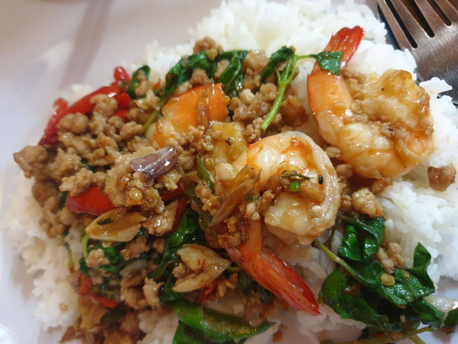 กะเพราะหมูกุ้ง ร้าน ดู๋ดี๋เสวย (วัดอุดม) x COMMAND.COFFEE - Wongnai