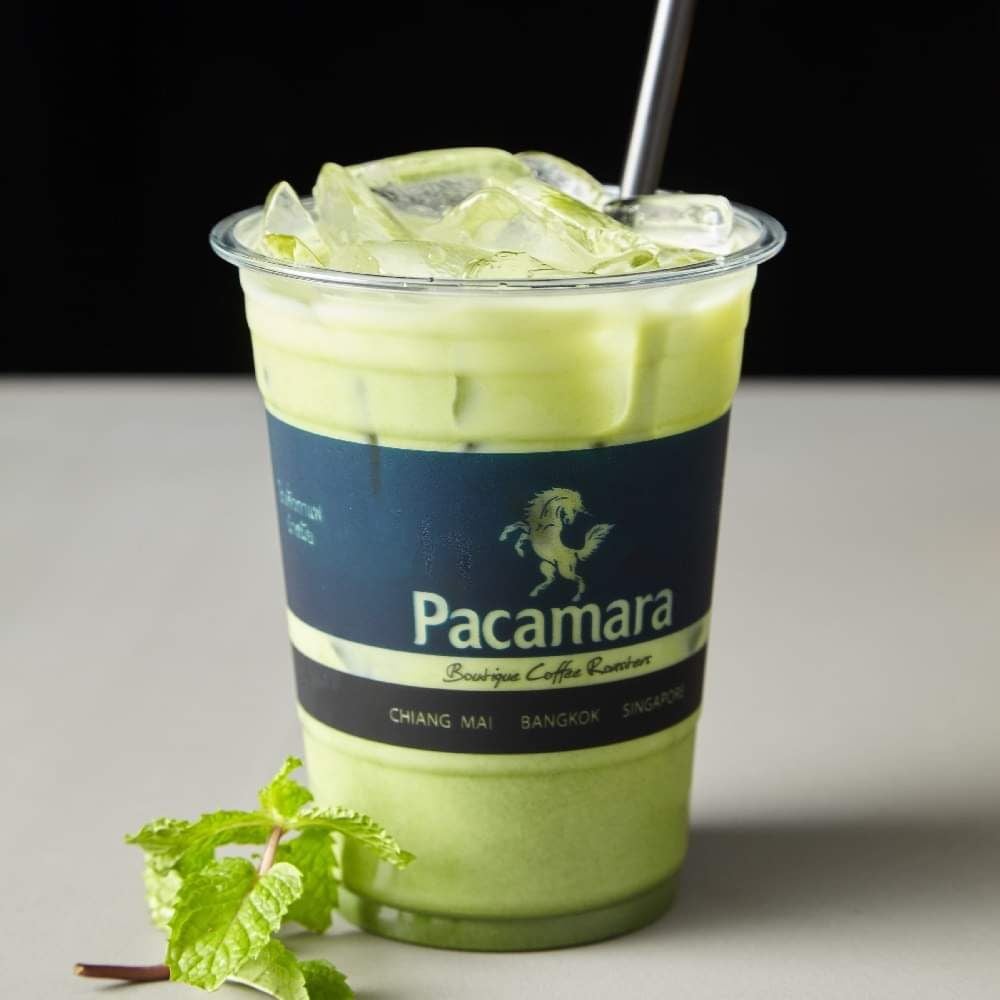 [รีวิว] ร้าน PACAMARA Thonglor 25 | เมนูแนะนำ รูปภาพ ราคา