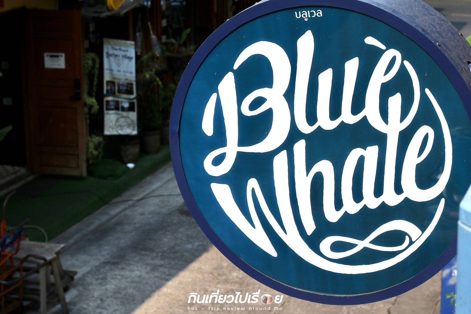 รูป Blue Whale Blue Whale