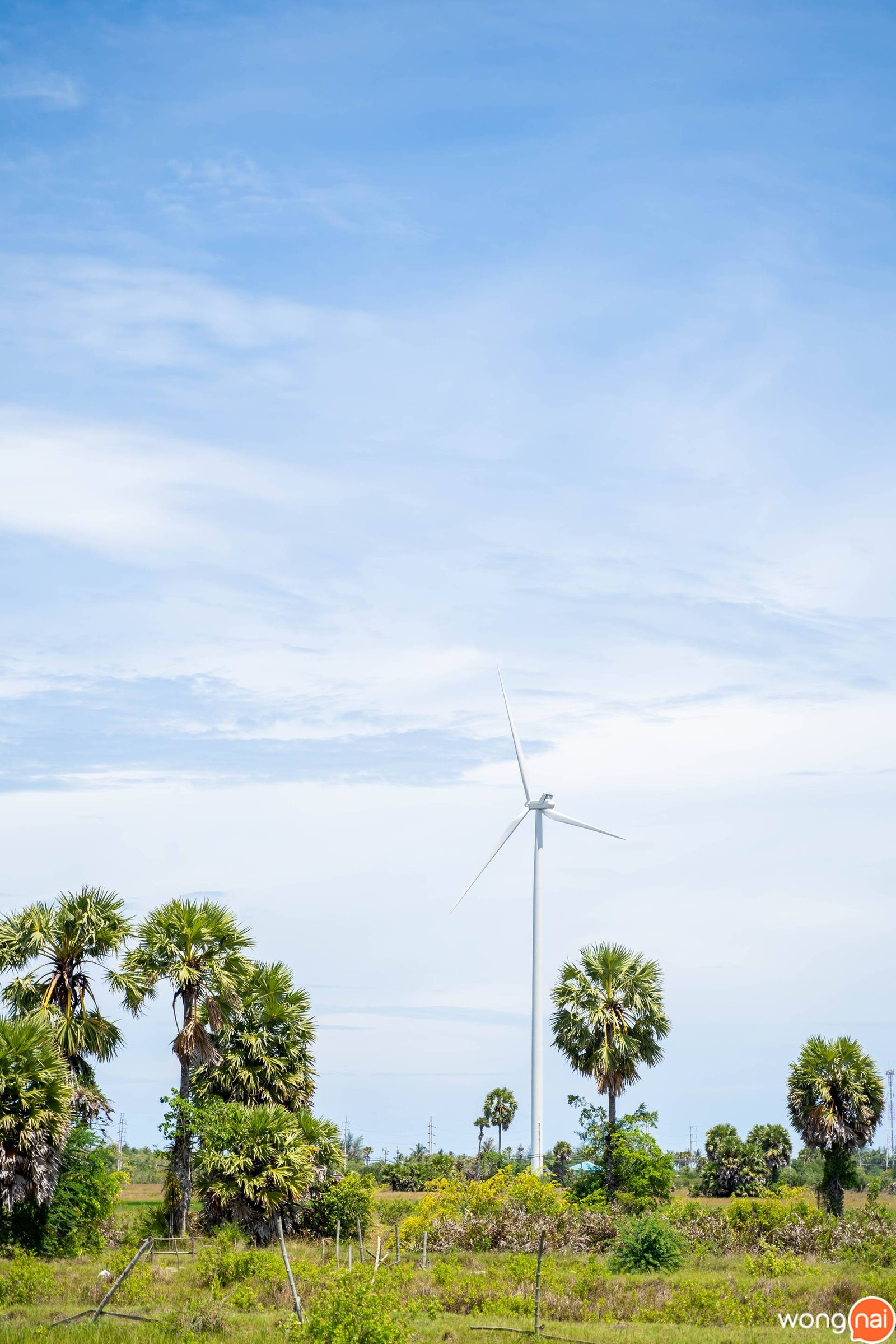 รูป Dawee จิบแฟแลกังหัน