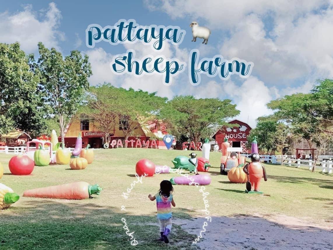 รูป ฟาร์มแกะพัทยา