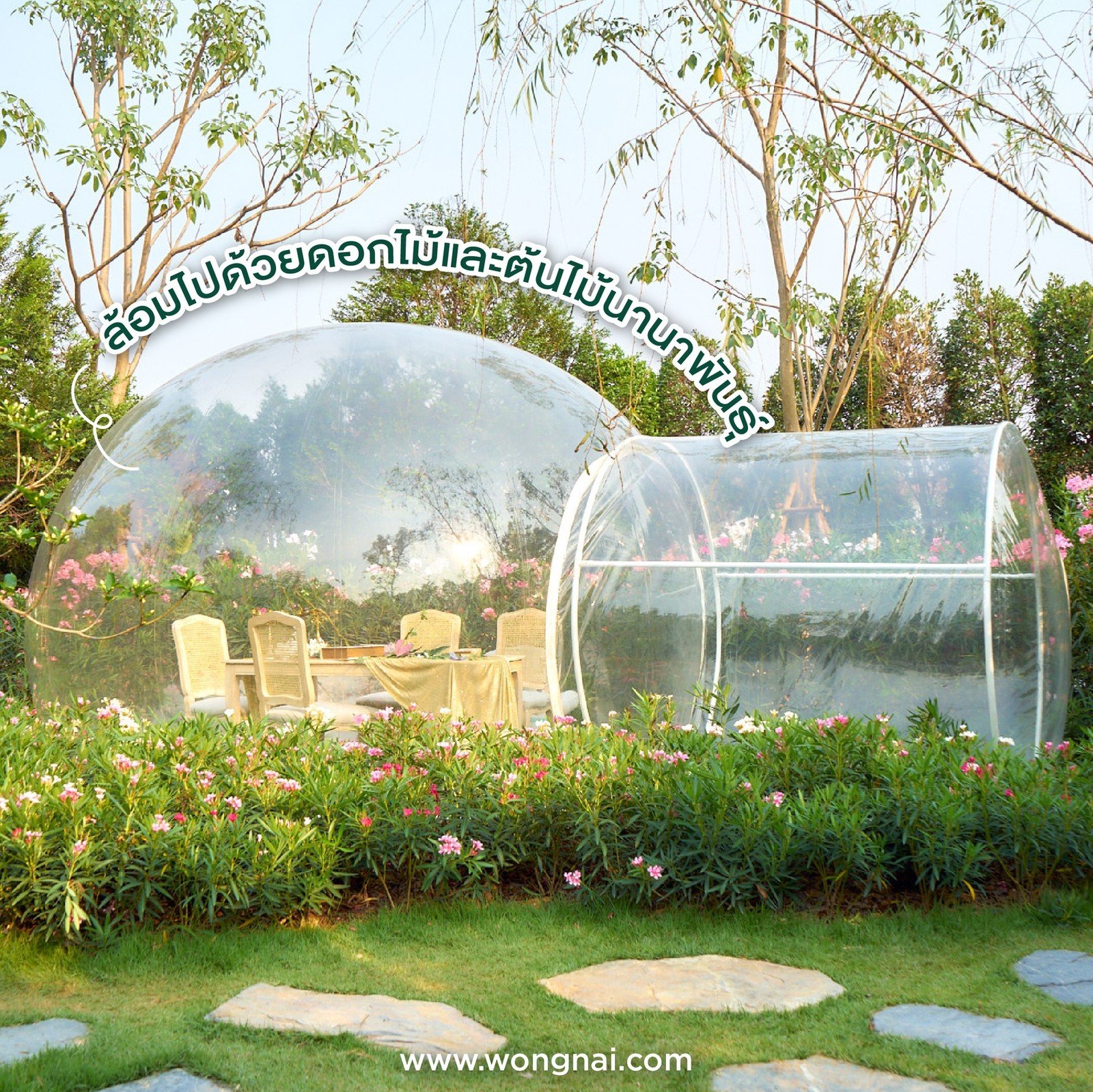 Bubble in the forest คาเฟ่เกาะมัลดีฟส์ เปิดใหม่ย่านศาลายา!
