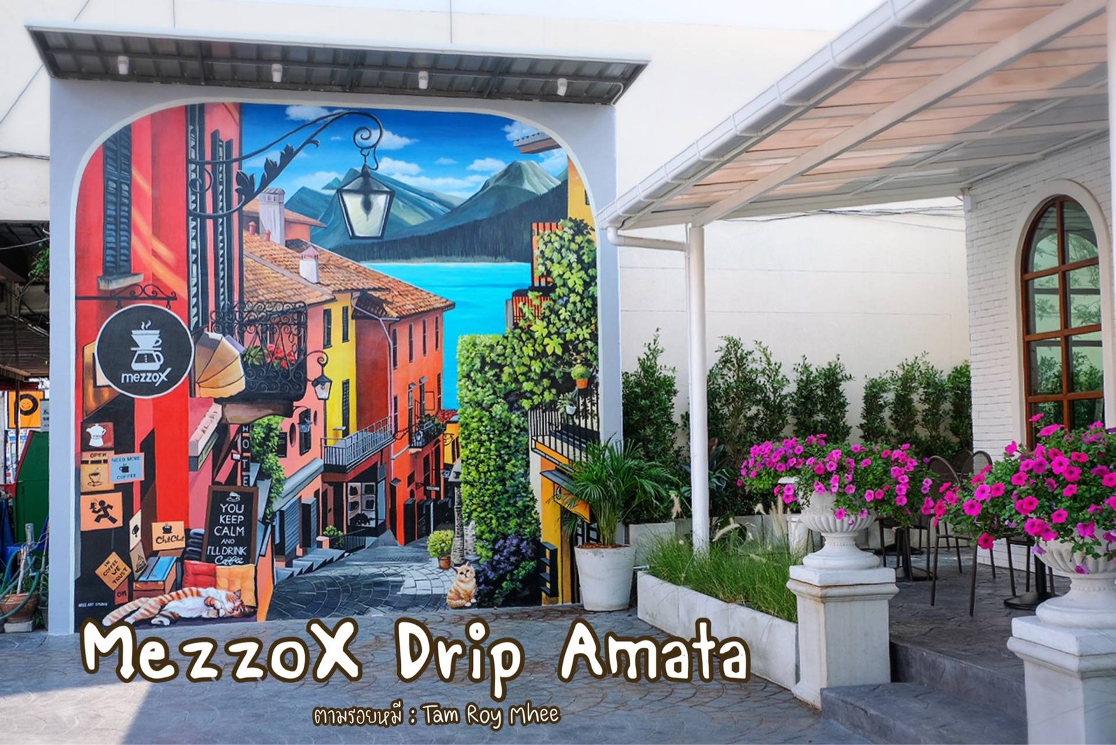รูป MezzoX Drip Cafe Amata - Wongnai