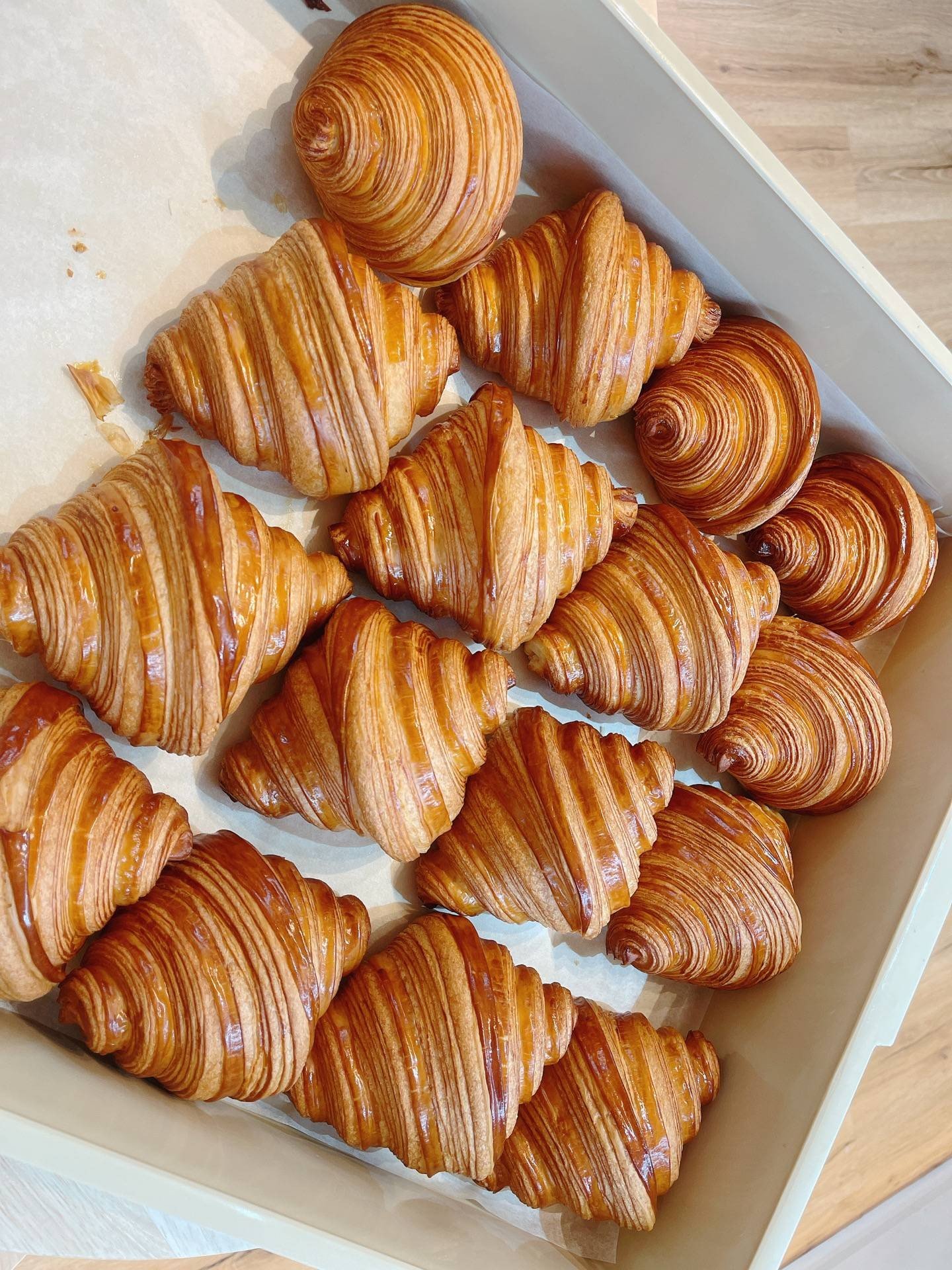 Plain ร้าน Croissant Factory Croissant Factory - Wongnai