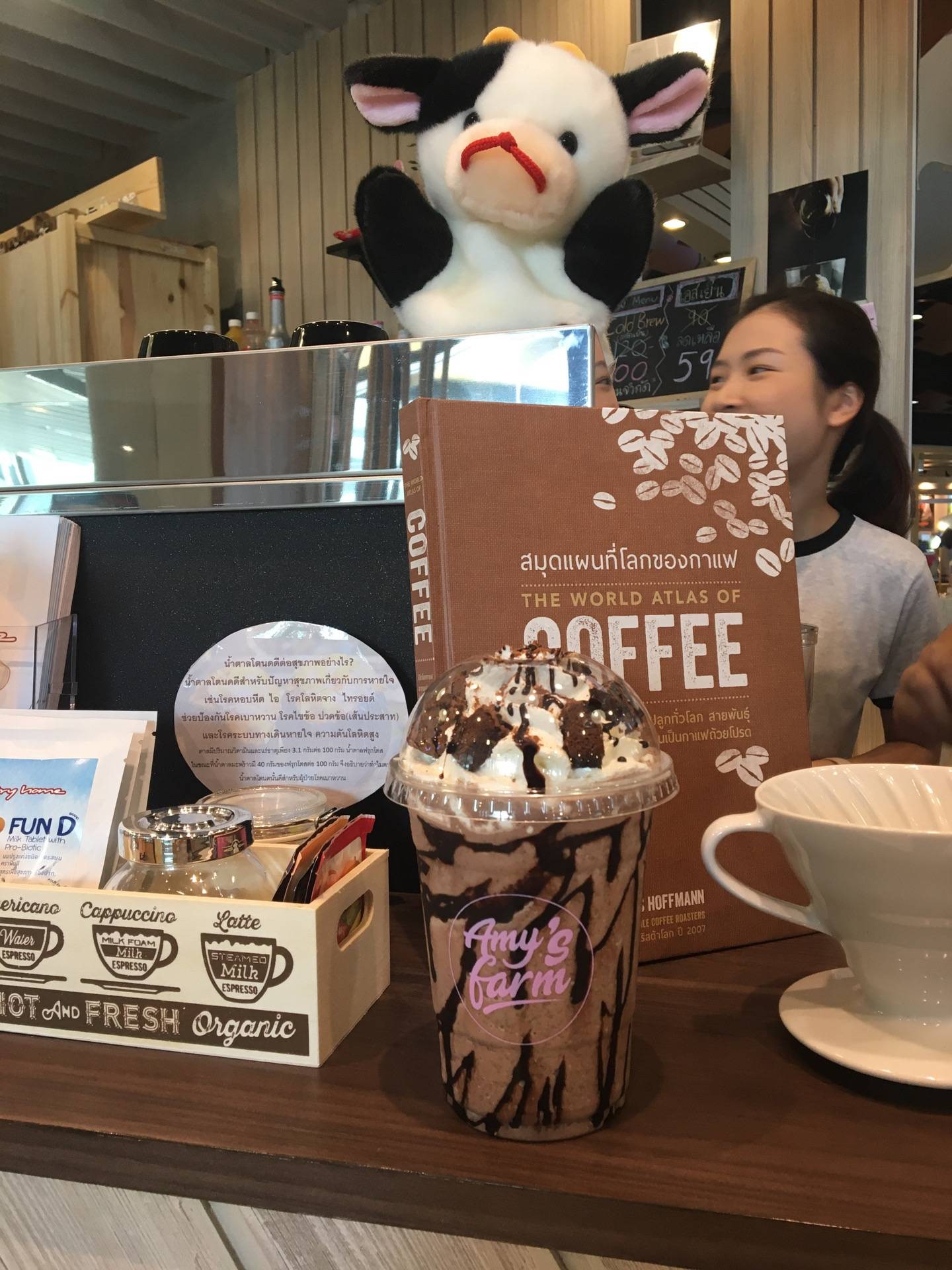 Cocoa (Belgium Dark Chocolate Frappuccino) ร้าน Amy Coffee ชั้น G เกท ...
