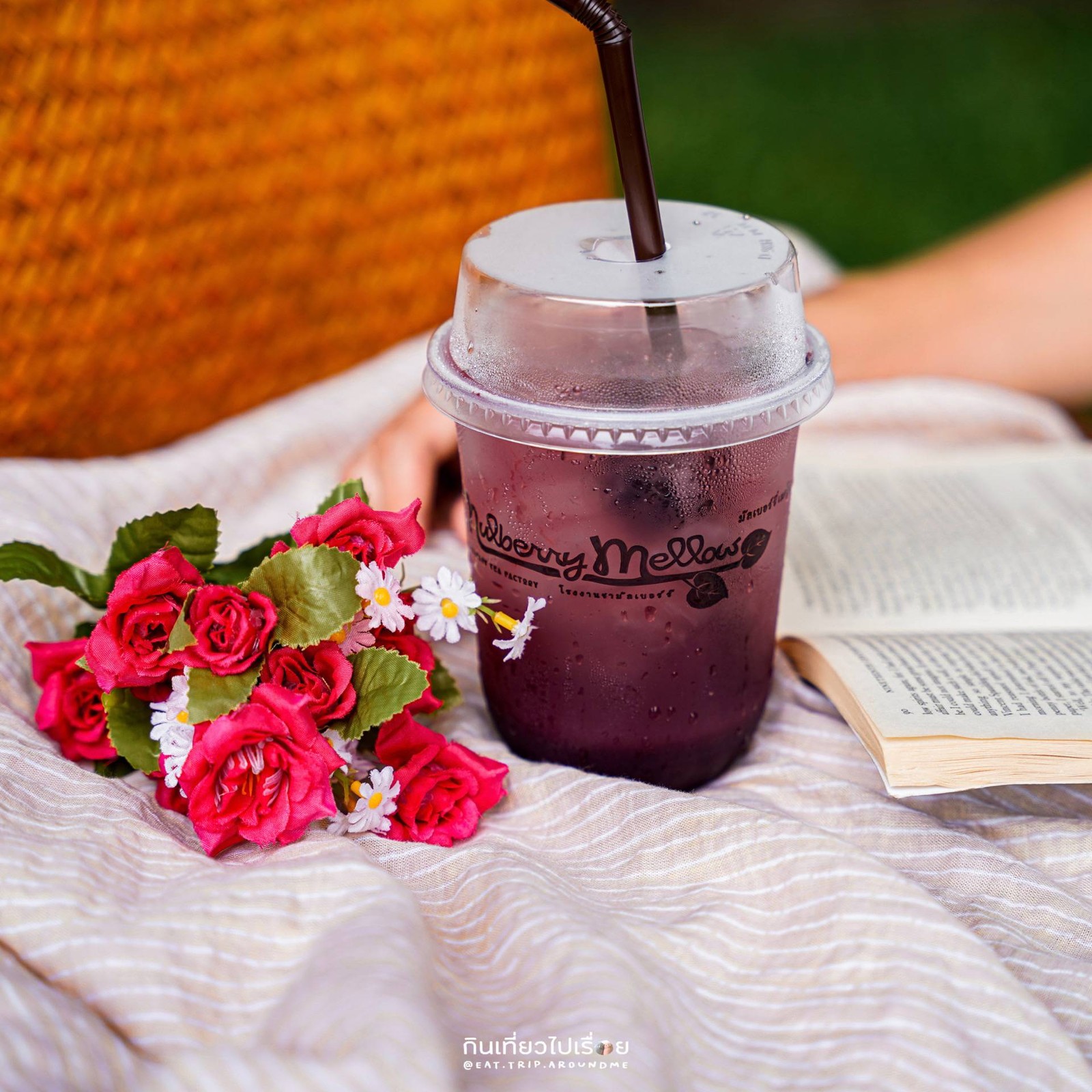 Mulberry Soda ร้าน Mulberry Mellow กาญจนบุรี 1 - Wongnai
