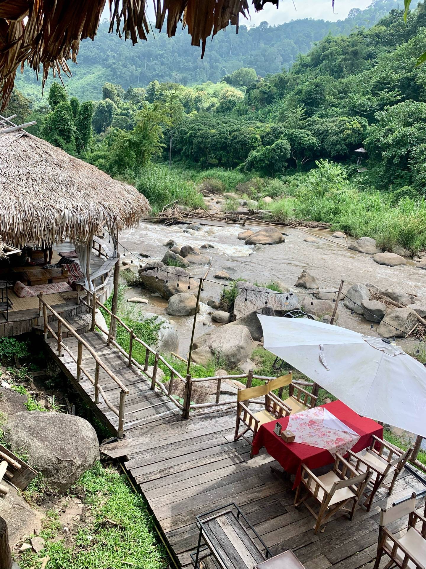 รูป Stay Wild & Cafe