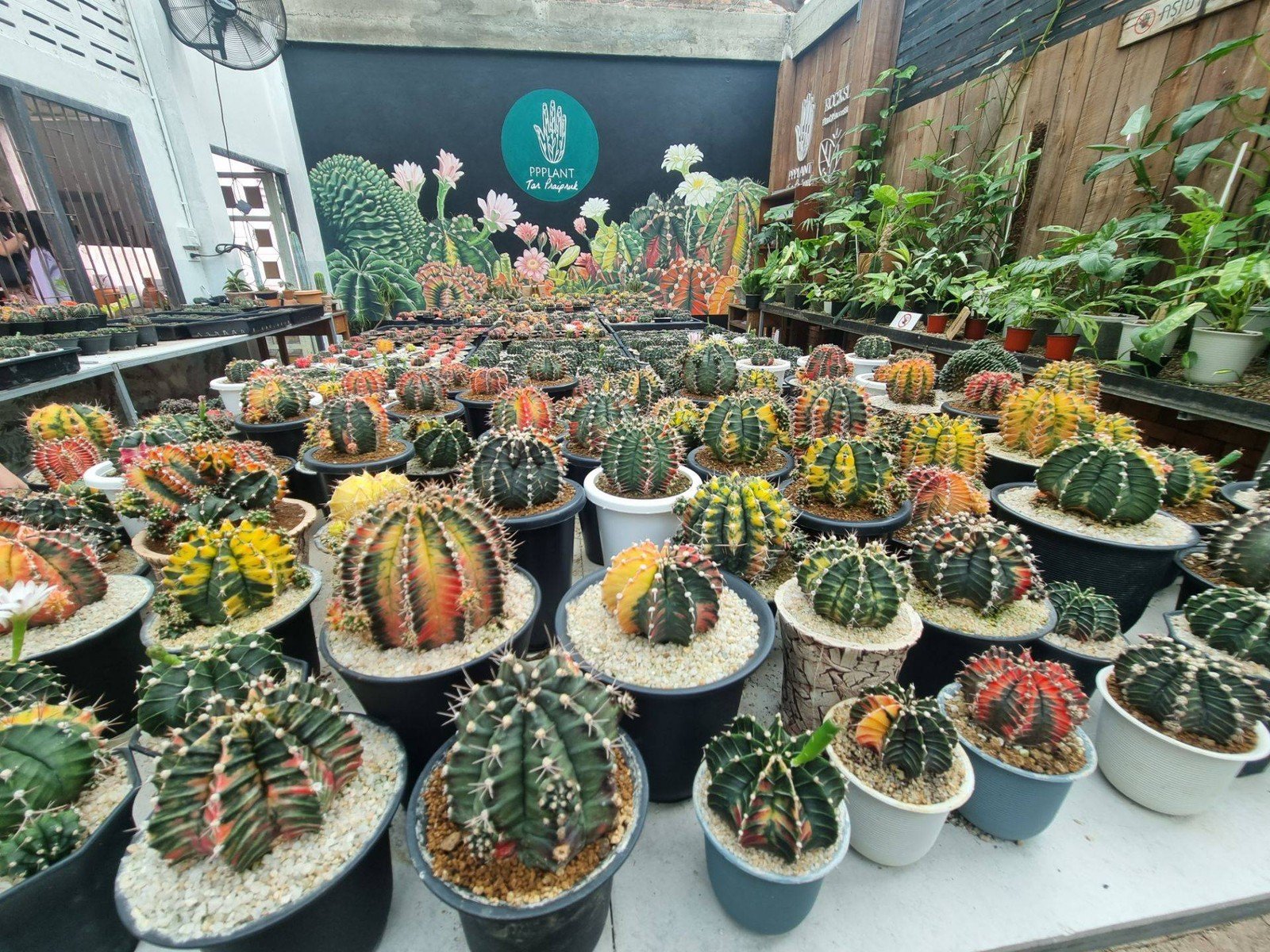 รูป Old School 88