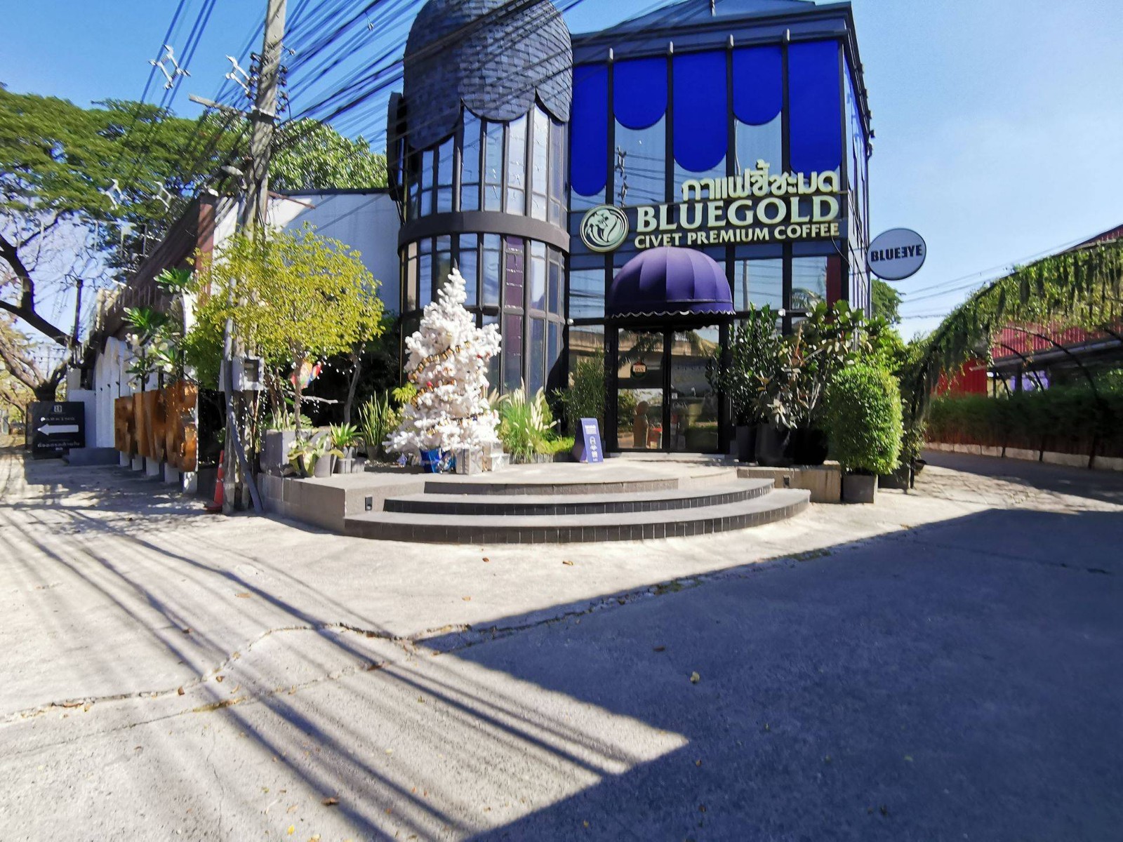 รูป กาแฟขี้ชะมด Bluegold Roaster Coffee เลียบทางด่วนเอกมัย-รามอินทรา