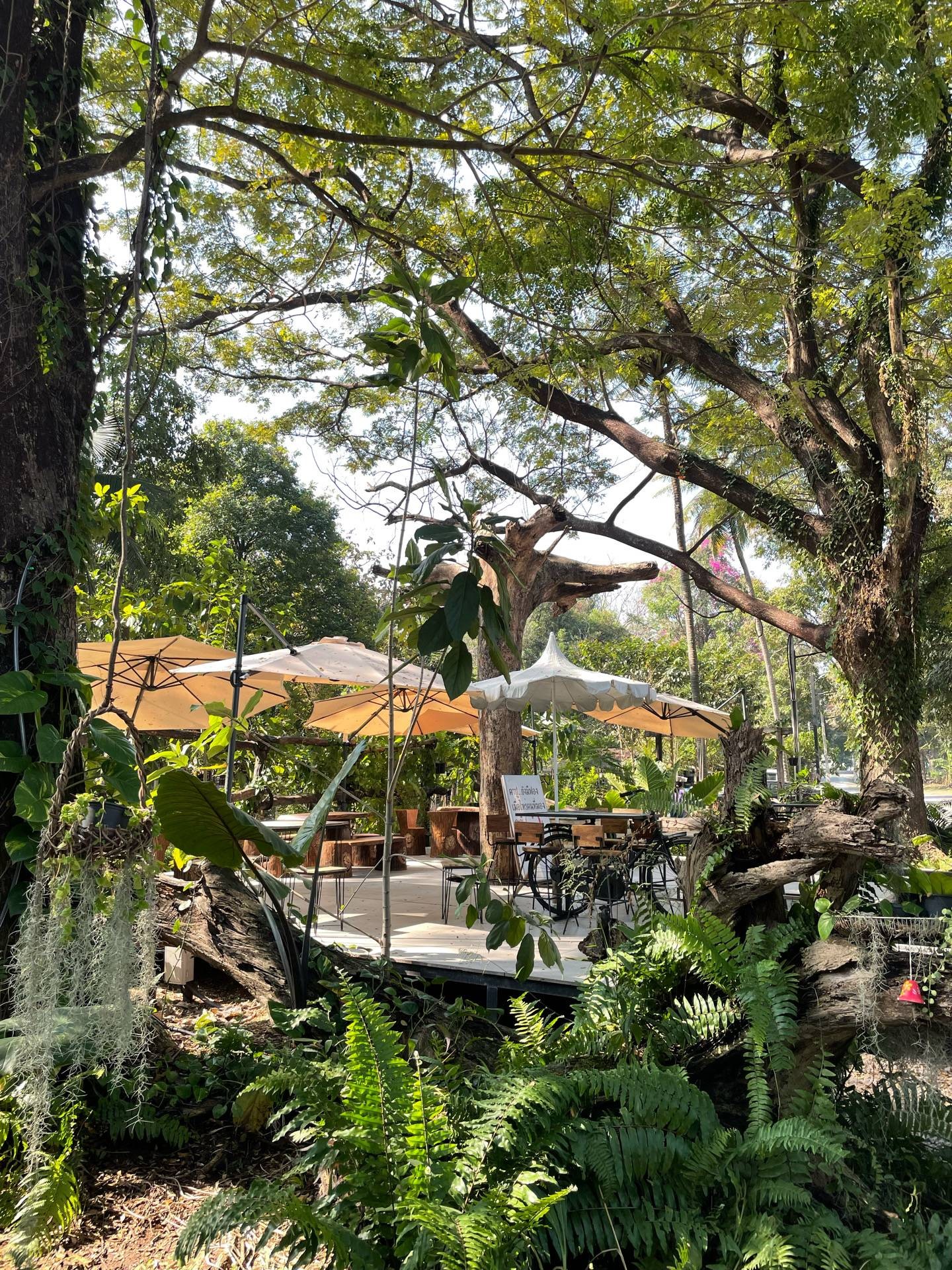 รูป ร้านชมป่าคาเฟ่ (Chompha Cafe')
