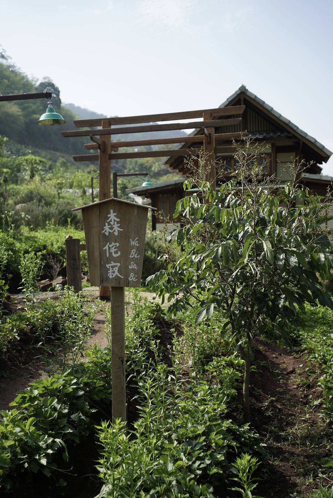 รูป Mori Natural Farm - Wongnai