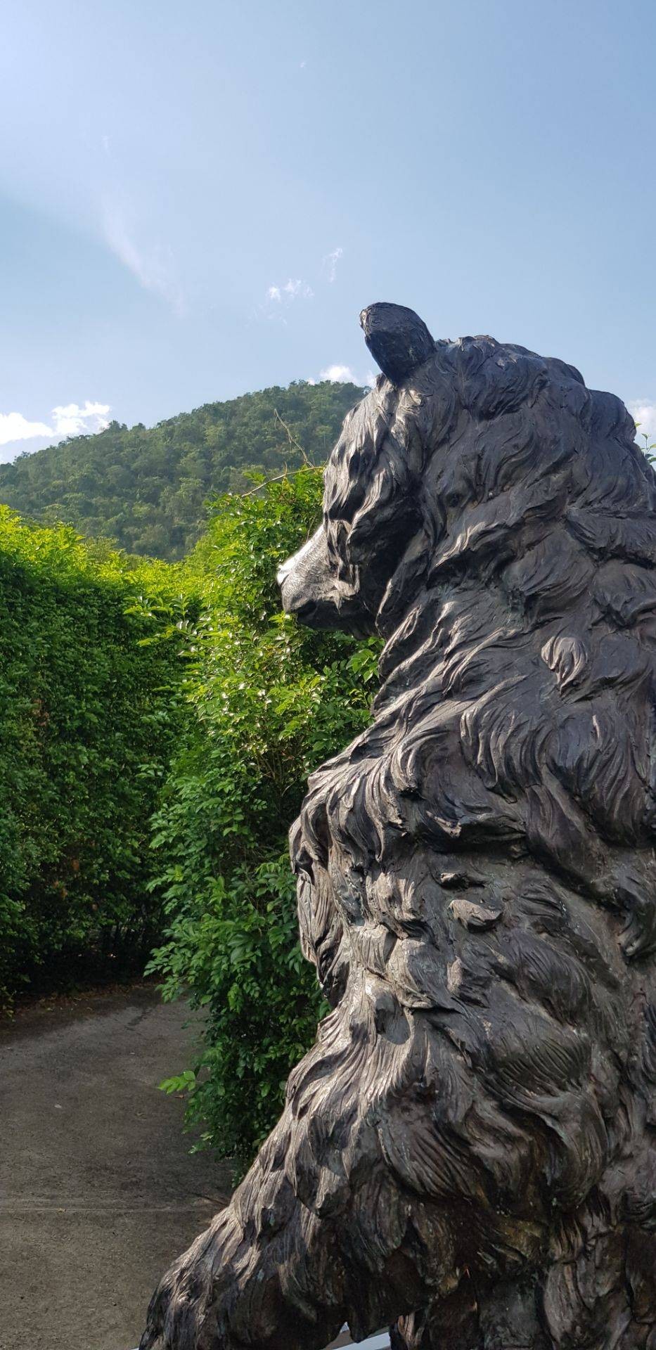 รูป Pete Maze - Wongnai