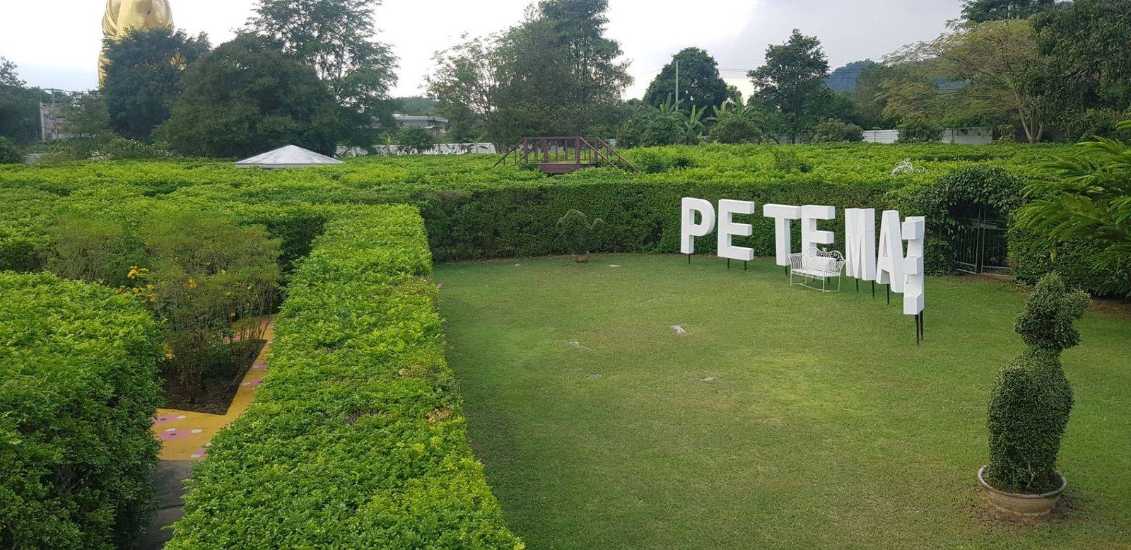 รูป Pete Maze - Wongnai