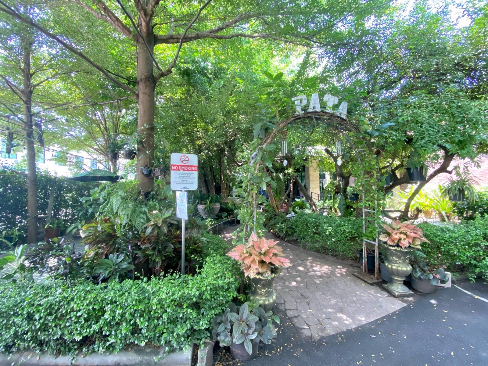 รูป PATA PLANTATION