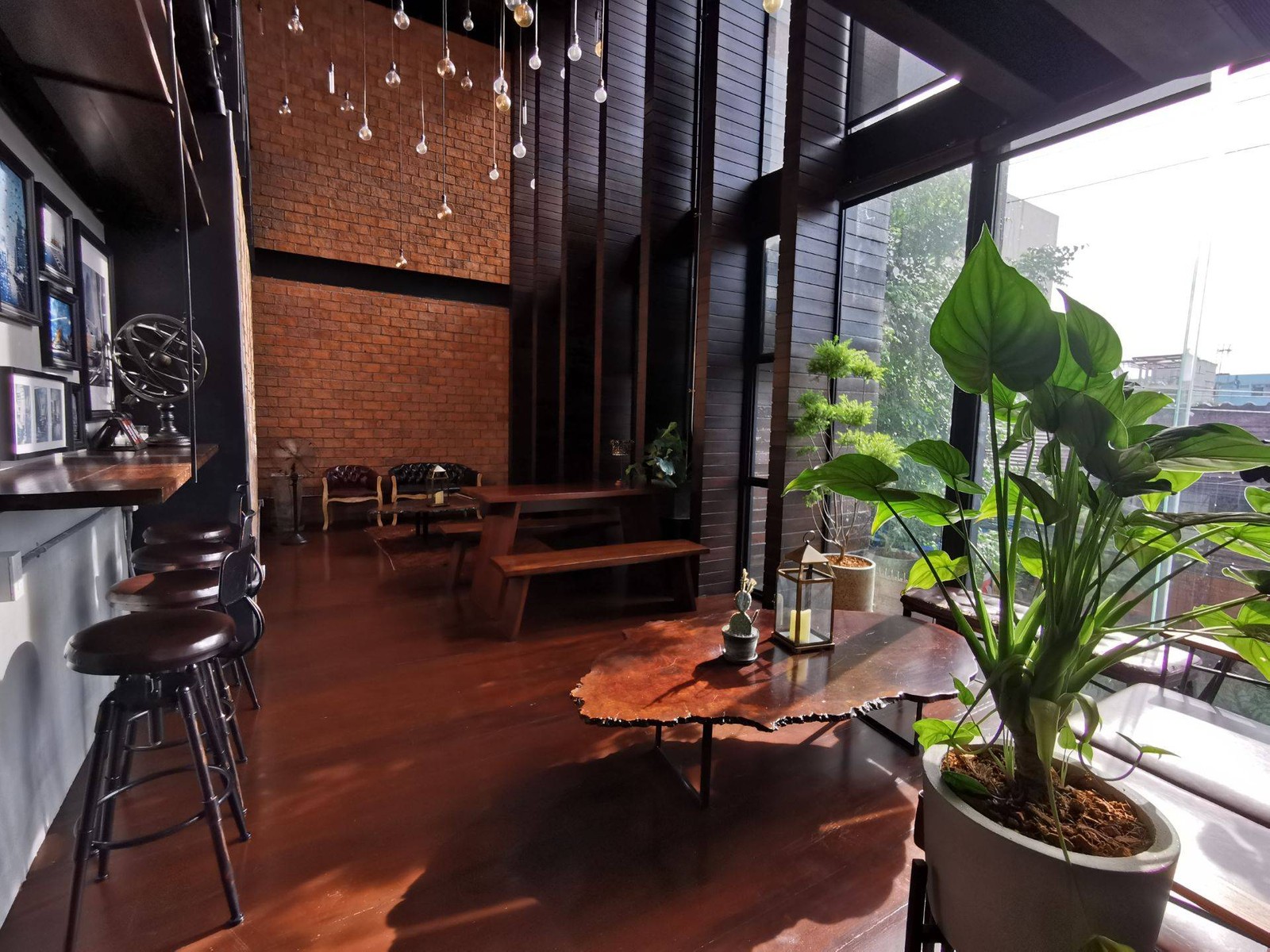 รูป The LOCAL - Ari