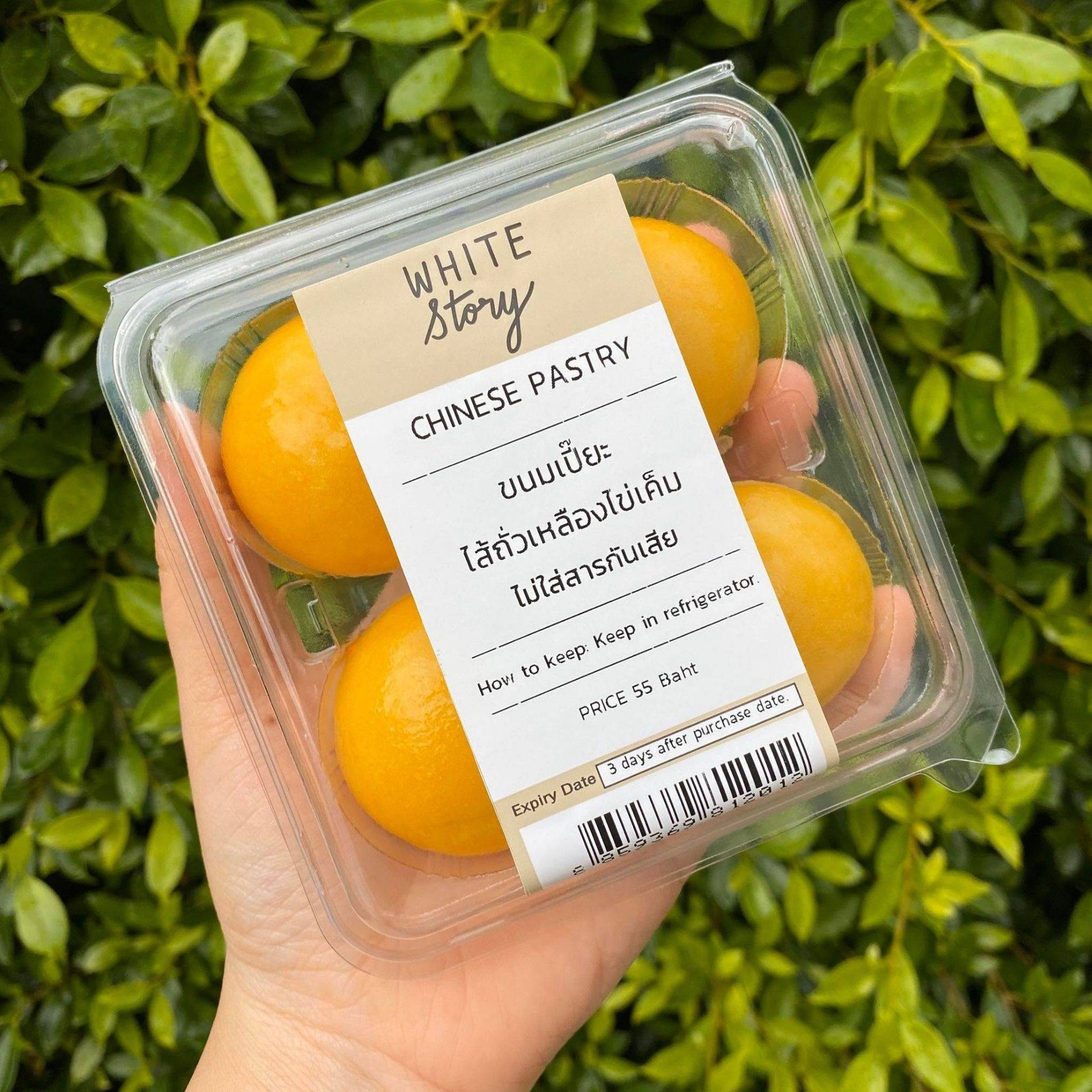 รูป White Story The nine rama 9