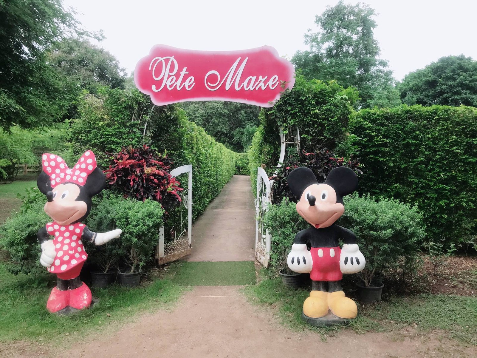 รูป Pete Maze - Wongnai