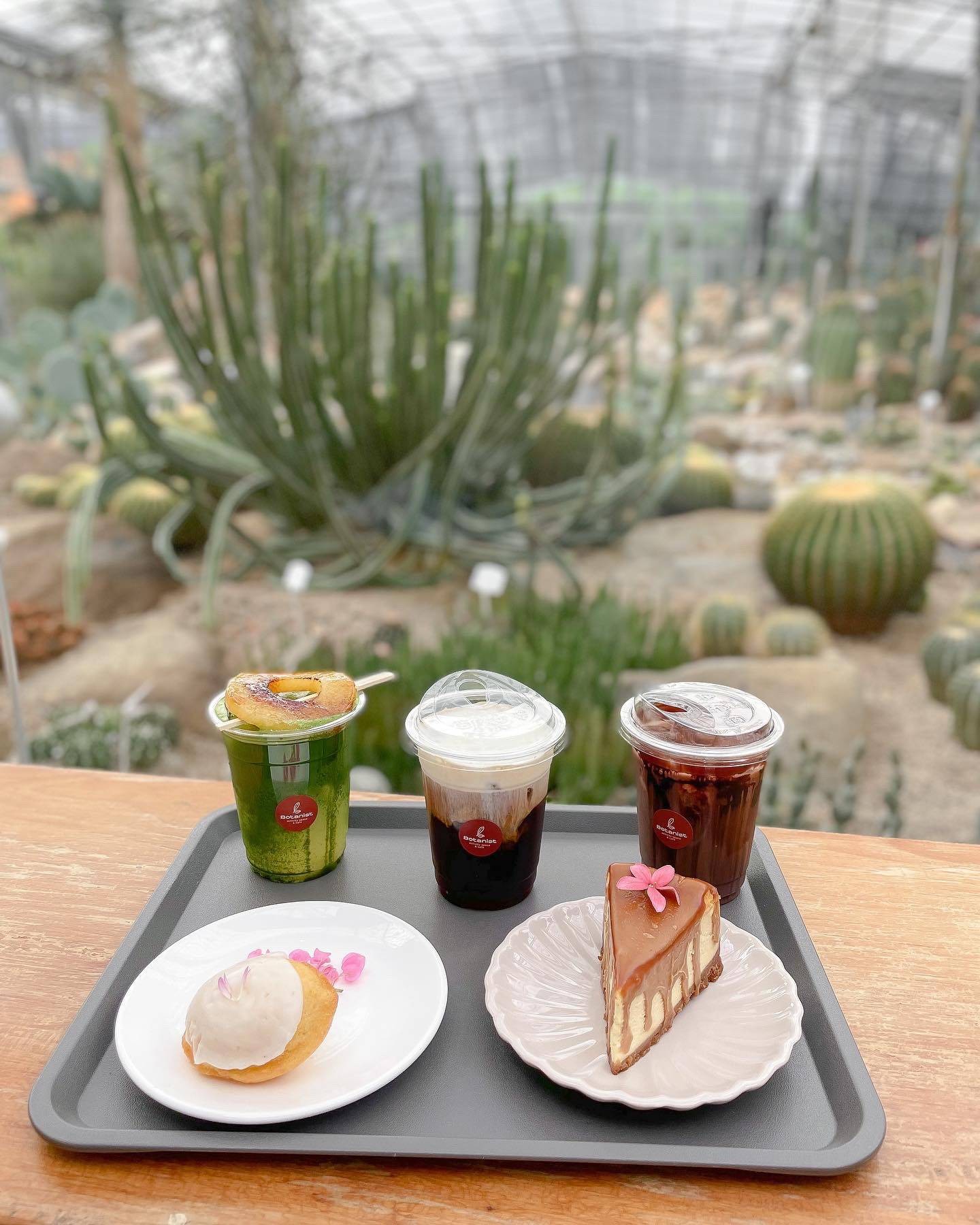 รูป Botanist Activity Space & Cafe - Wongnai