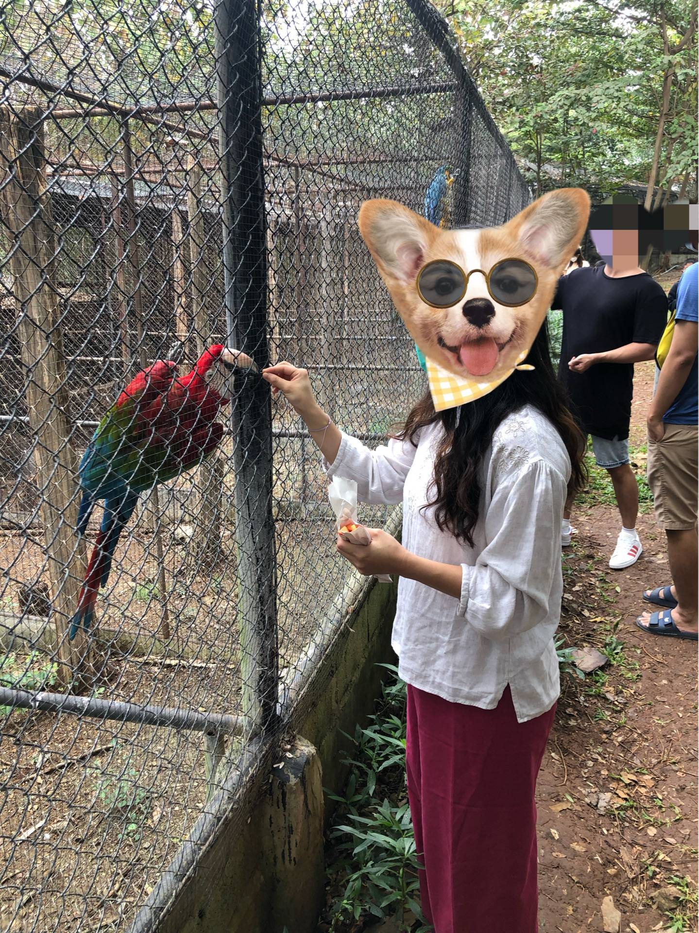 รูป Bonanza Exotic Zoo - Wongnai