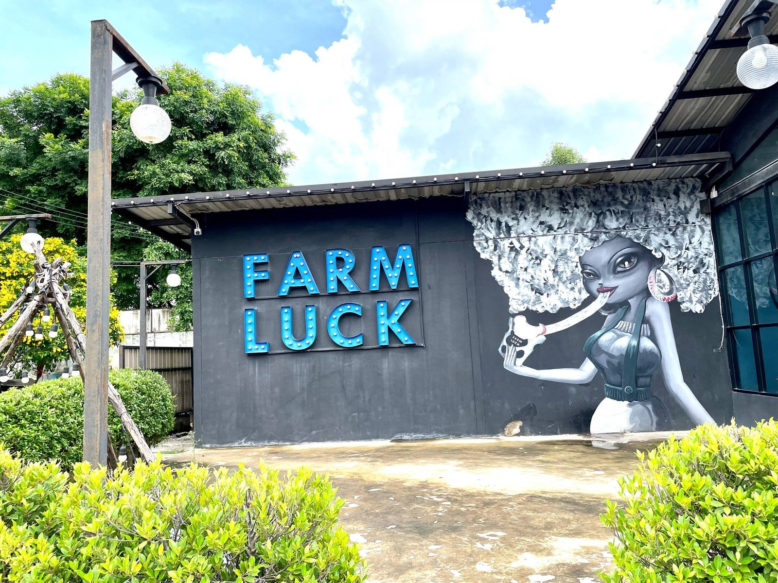 🍀 Farm Luck @พุทธบูชา ร้าน FARM LUCK ตรงข้าม พุทธบูชา 43 - Wongnai
