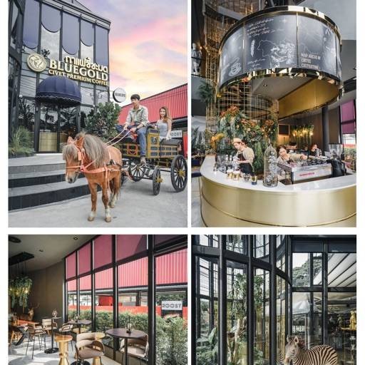 รูป กาแฟขี้ชะมด Bluegold Roaster Coffee เลียบทางด่วนเอกมัย-รามอินทรา