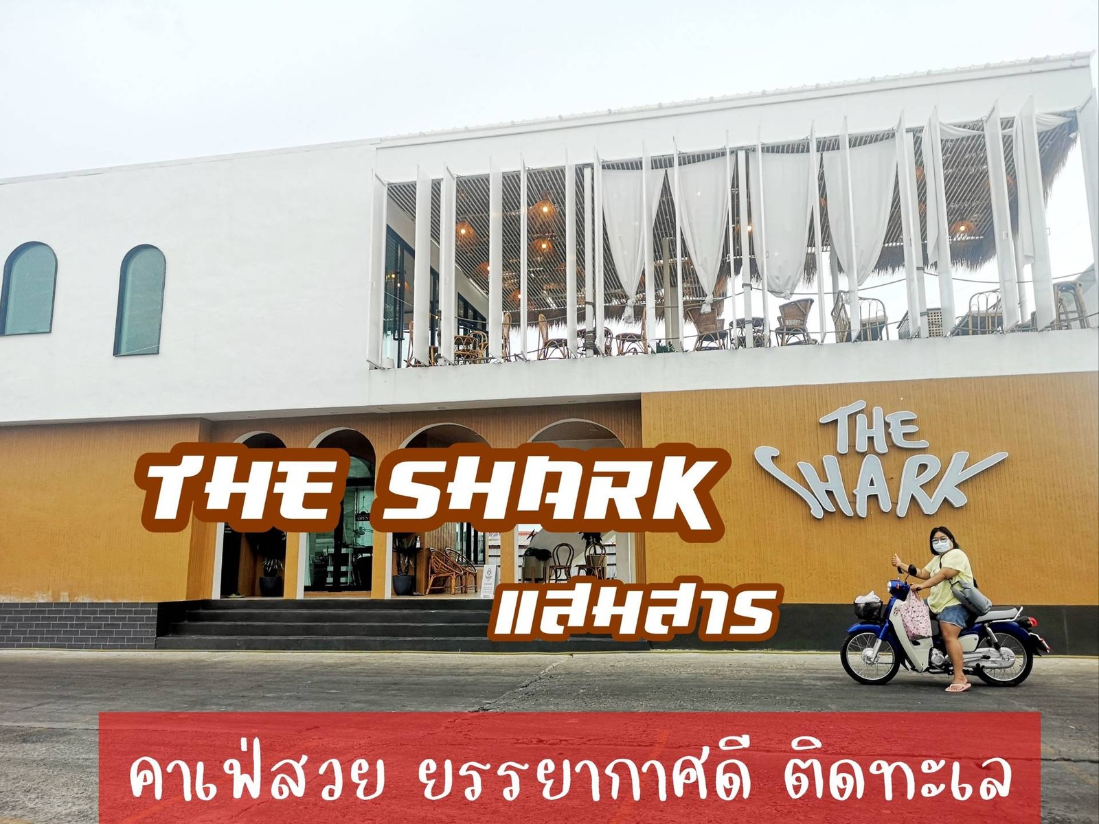 รูป The shark cafe