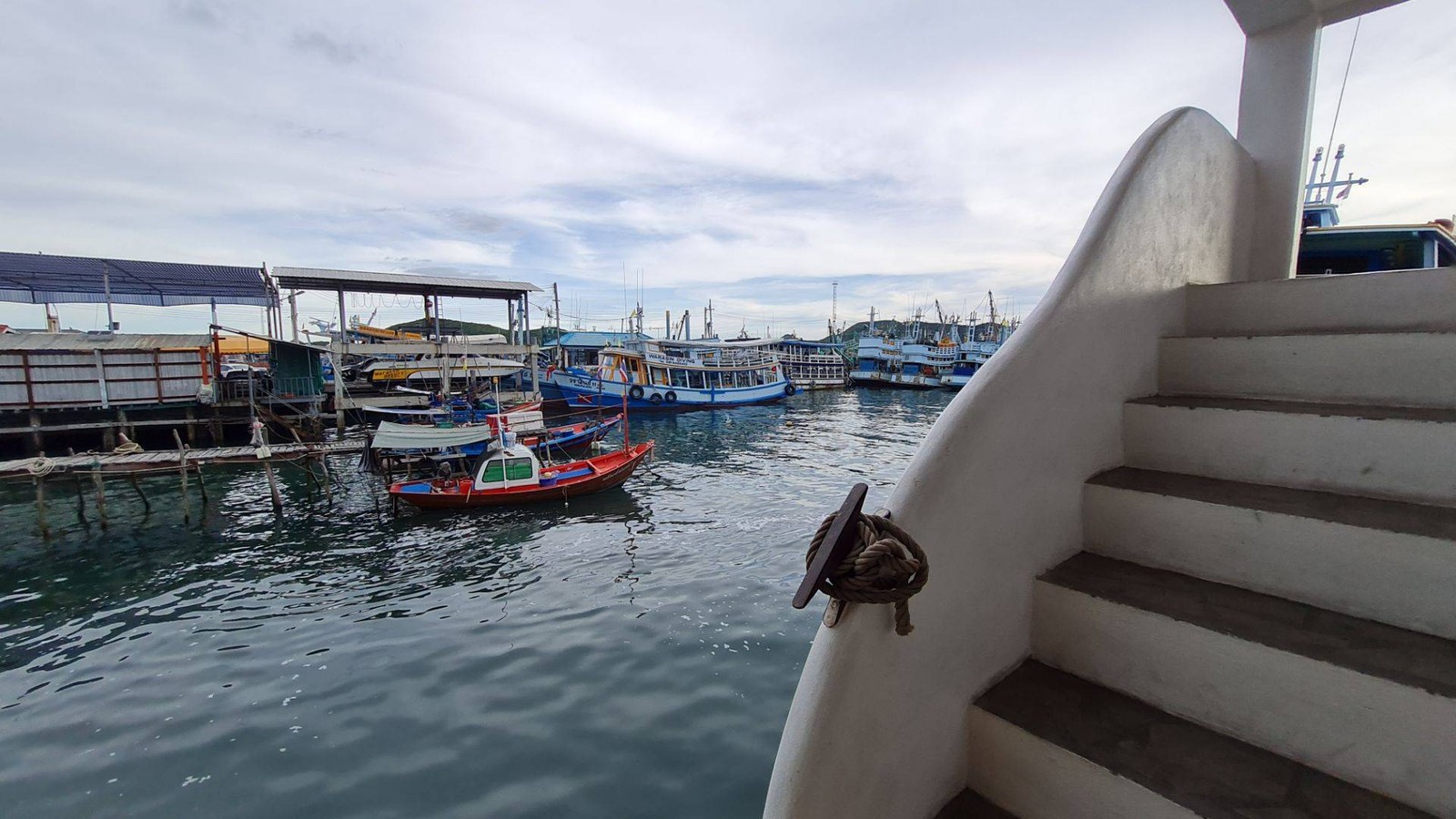 รูป The shark cafe