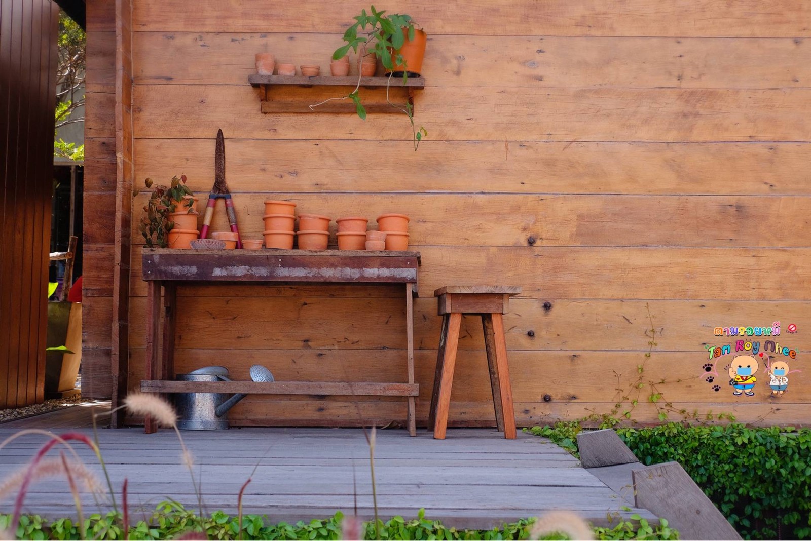 รูป Ellen Cafe House Angsila