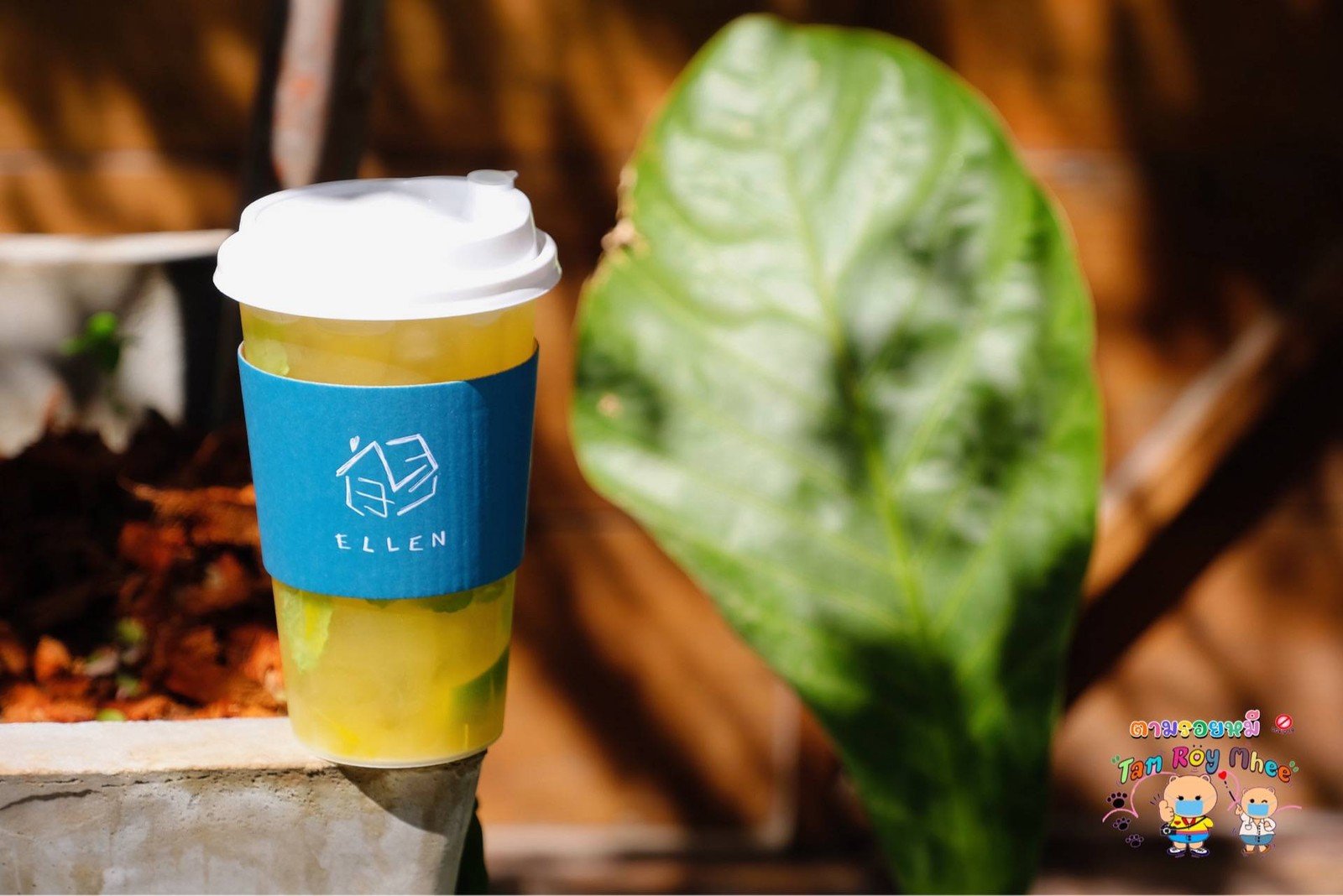 รูป Ellen Cafe House Angsila