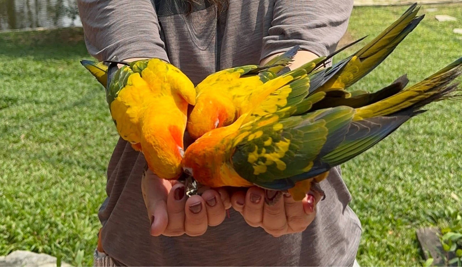 รูป Bonanza Exotic Zoo - Wongnai