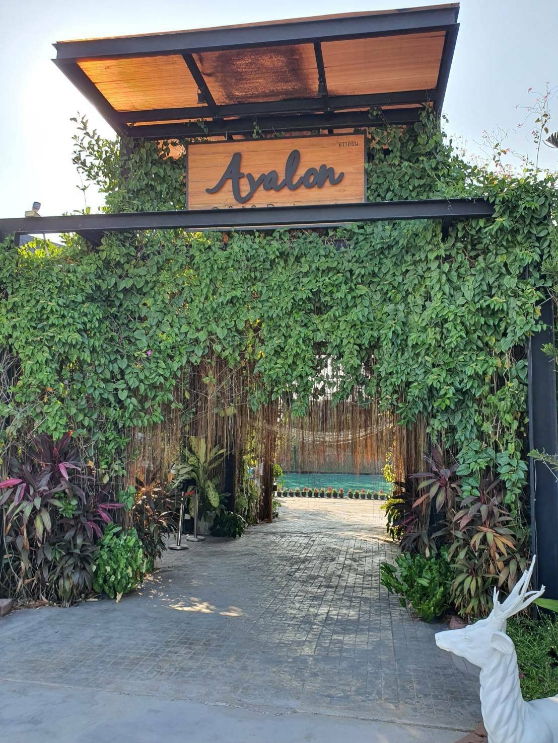 รูป Avalon Cafe & Restaurant