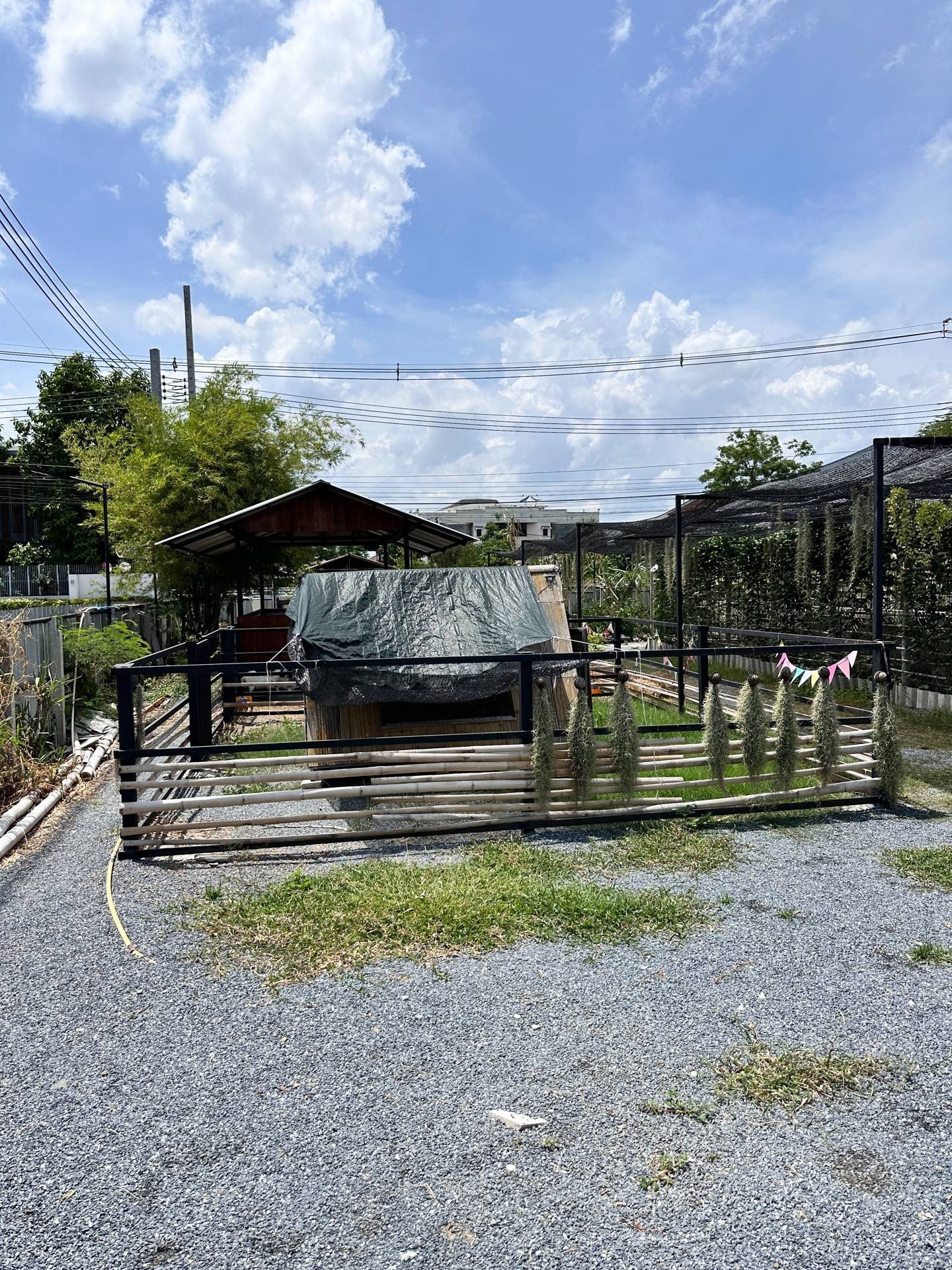 รูป All Weather Farm บางขุนเทียน-ชายทะเล ซอย20/1