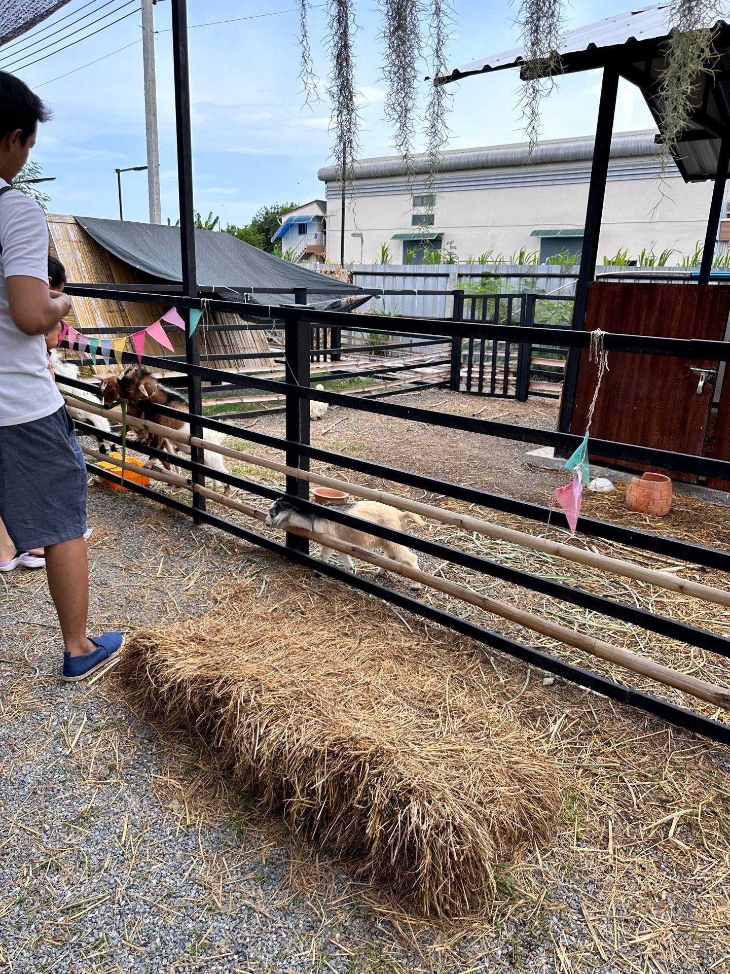 รูป All Weather Farm บางขุนเทียน-ชายทะเล ซอย20/1